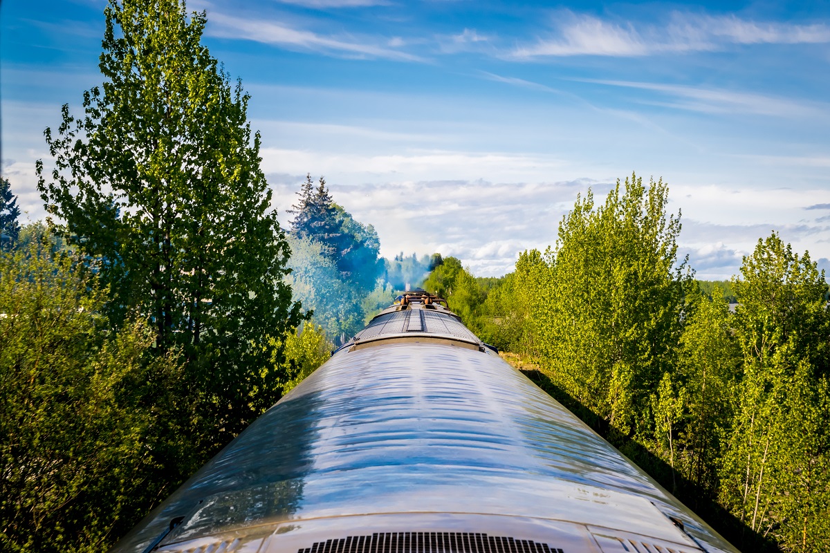 Vegetation Track Infringement – Rail Vision